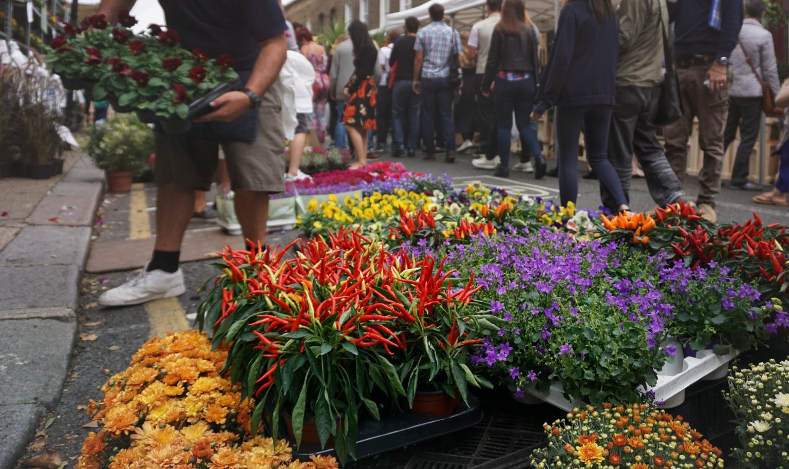 Chelsea Flower Show 2025: Gartentrends setzen neue Maßstäbe in ...